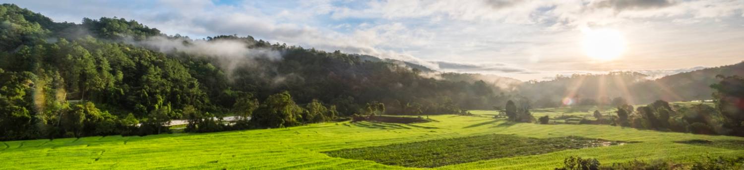 Afinca | Tu web de compra-venta de fincas rústicas